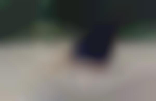 Eco-Friendly Smartphones : adzero bamboo phone