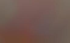 Hello Kitty Political Campaigns : Hello Kitty Political Campaigns