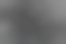 Expansive Supermodel Compendium : The Kate Moss Book