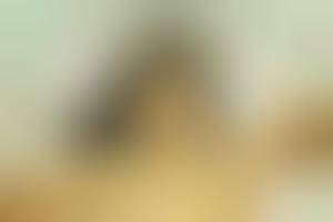 Sultry Heroine Art : Pin-Up Style Superheroes