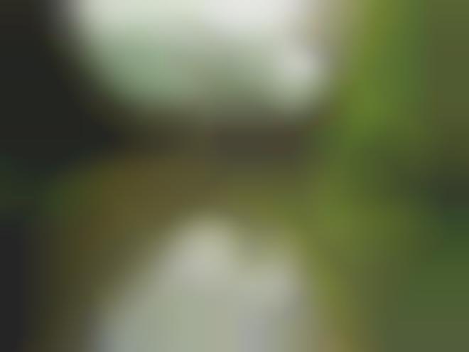 100 Interactive Installations