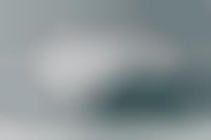 Domestic Iceberg Ads : Bosch Freezer campaign