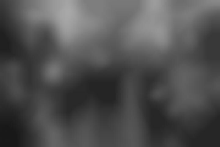 100 Bizarre Art Projects