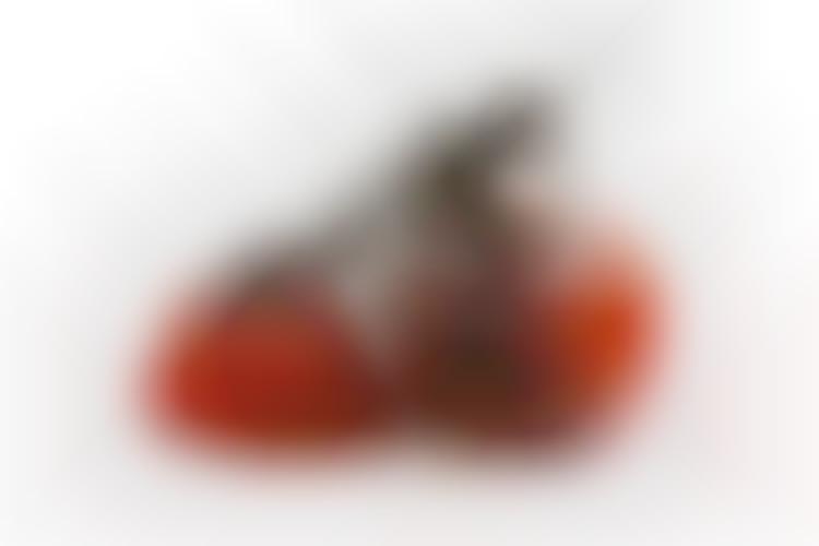 20 Examples of Food Portraiture