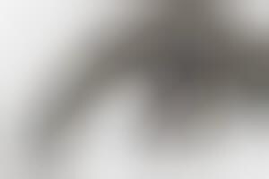 Live-Preserving Ant Vacuums : anteater bug vacuum