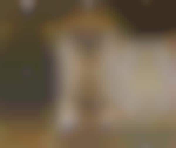 100 Artistically Intricate Structures