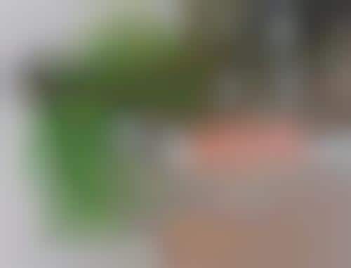 27 Fantastically Futuristic Gardens