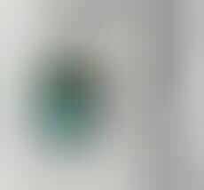 Appliance-Emulating Luggage : SuitSuit Washing Machine Suitcase