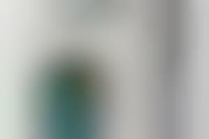 Appliance-Emulating Luggage : SuitSuit Washing Machine Suitcase