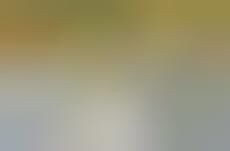 Cave-Like Treat Shops : Ice Cream Castle