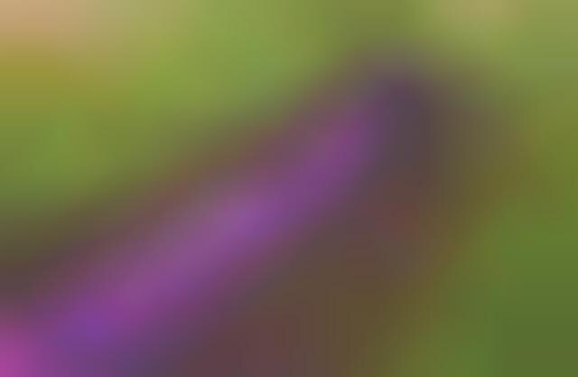 45 Terrific Tree Trunk Creations