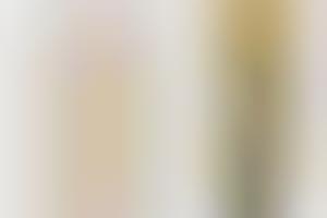 Sacrilegious Kitchenware : cheesus christ cheese grater