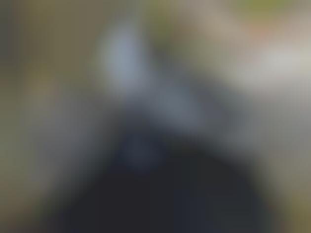 58 Beautifully Extravagant Bridges