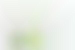 Rocking Broom Sets : Roly-Poly Cleaner