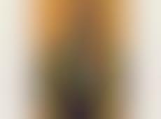 Fluorescent Minimalist Lookbooks : angel jackson bags