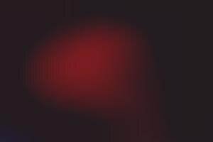 Webbed Bridge Installations : Flux Cocoon