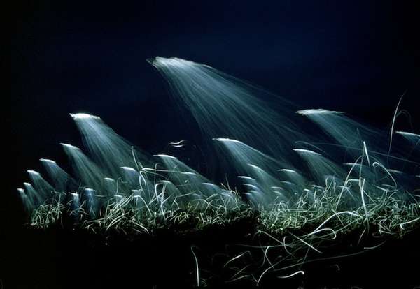 Transcendant Light Photography : james tapscott photos