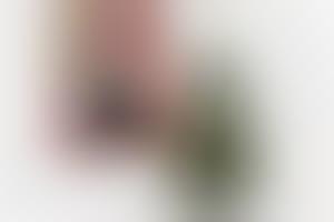 Personified Tree Decor : christmas tree googly eyes