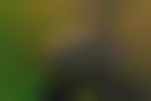 Wireless Bicycle Receivers : Hands Free Bike Bluetooth