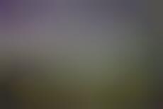 Streaming Light Installations : James Tapscott