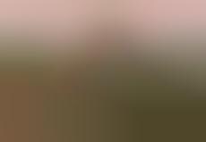 Hand-Painted Portrait Photography : Shae Detar