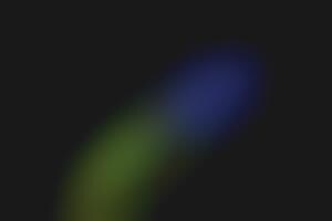 Microscopic Vegetation Portraits : Phy-Topic by Rob Kesseler