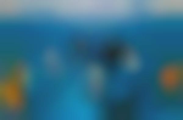 Blue Block-Filled Installations : Play Work Build