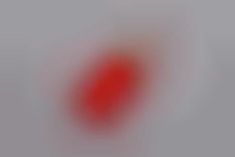 Avian Signalling Devices : Audubon Bird Call