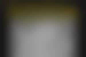 Intricate Morbid Illustrations : morbid art