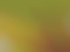 Flipped Perspective Topography : Upside Down World Map