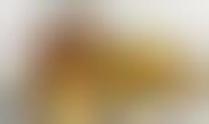 Snail-inspired Transporters : J.D Truck