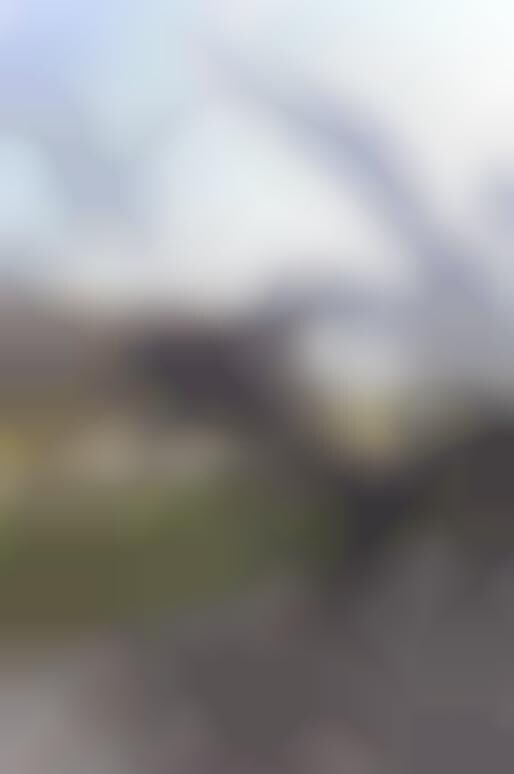 100 Artistically Intricate Structures