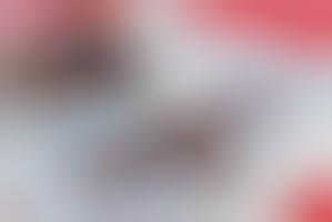 Multicolored Psychedelic Truffles : Rainbow Peppermint Patties