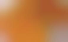 Deep-Fried Phone Protectors : japanese food iphone cases