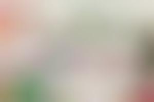 Holiday History Timeline Infographics : history of christmas