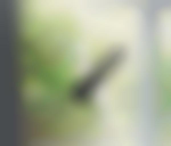 Hands-Only Hour Indicators : Time-Line Clock