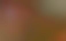 Trimming of the Trill Tree : Personalized Holiday Ornaments