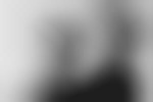 Unrelated Doppleganger Portraits : François Brunelle