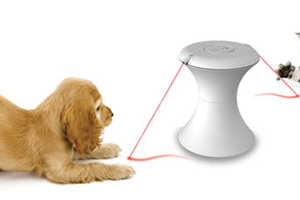Laser Beam Pet Toys : laser chase toy