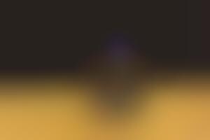 DIY Time Travel Tree Hangings : DIY Tardis Ornament