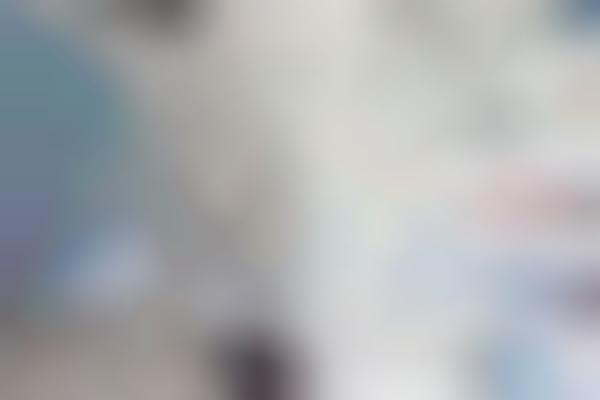 Outlandish Mural Stores : del toro miami