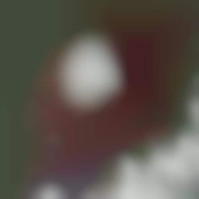 35 Breathtaking Google Earth Images