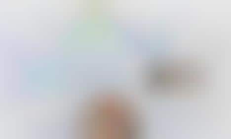 Computer User Demographic Charts : typical mac user