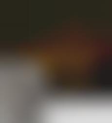 Illuminated Foliage Silhouettes : Tree Shadow Projector