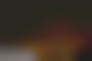 Illuminated Foliage Silhouettes : Tree Shadow Projector