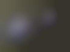 Embellished Galactic Undergarments : galaxy bra