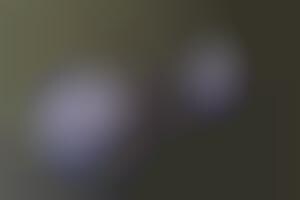 Embellished Galactic Undergarments : galaxy bra