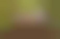 Modular Man Photography : Blocks by Fabien Nissels