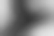 Whale Spine Stairs : Vertebrae Staircase