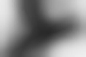 Whale Spine Stairs : Vertebrae Staircase